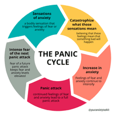 How to Break the Panic Cycle | Ep. 404 - Therapy & Counseling for OCD ...